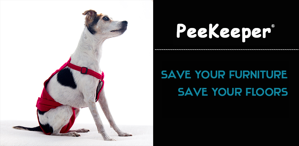 Small Dog Diapers | Diapers For Incontinent Dogs | PeeKeeper
